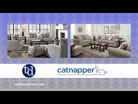 T&D Furniture - September 2021 - Catnapper