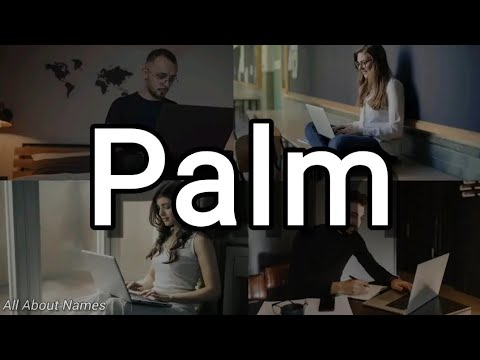 Palm: American Pronunciation, Meaning, and Usage in Sentences
