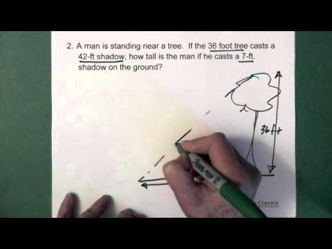 2. Ratio & Direct Proportion: Questions & Answers