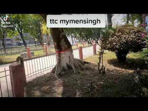 Mymensingh TTC