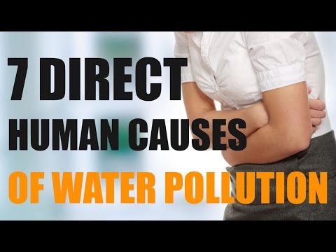 7 Direct Human Causes of Water Pollution