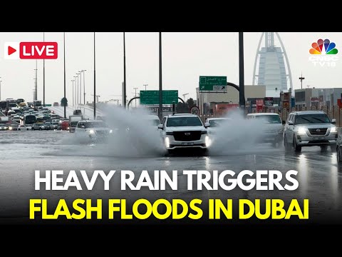 Dubai Floods News LIVE: Dubai Airport Flooded, Flights Diverted After Heavy Rain | UAE Rains | IN18L