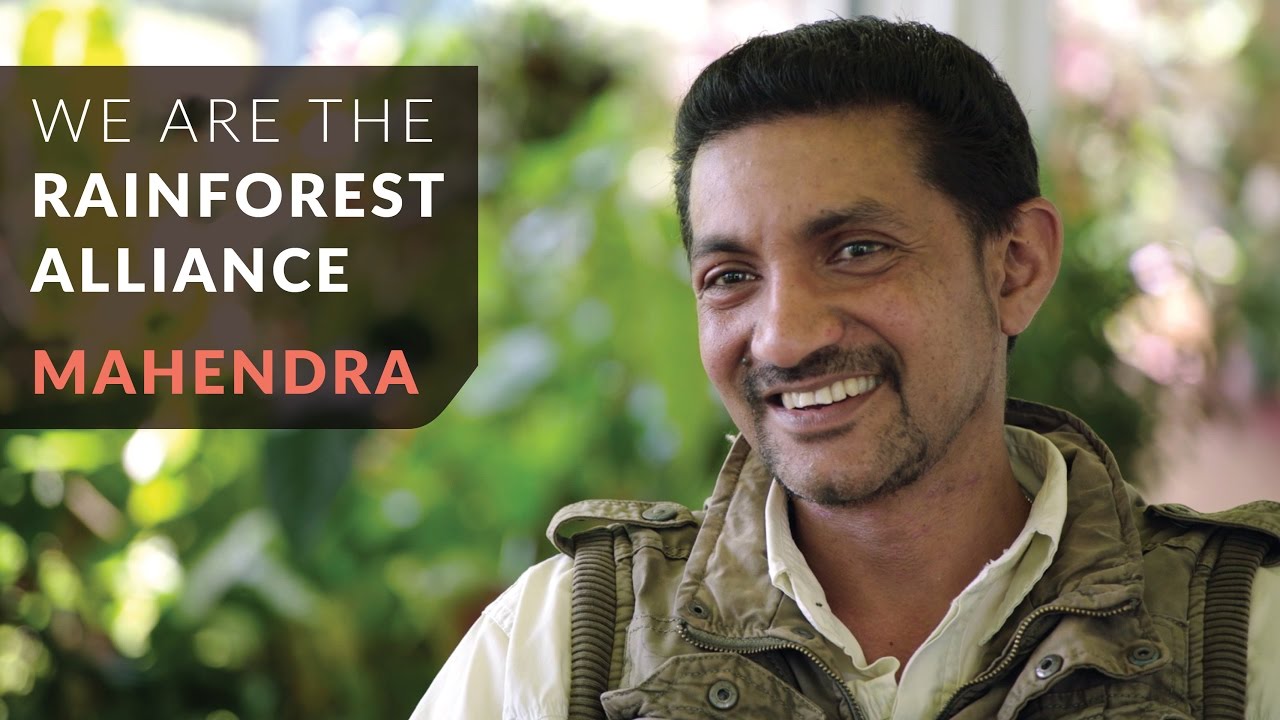 We Are the Rainforest Alliance – Mahendra