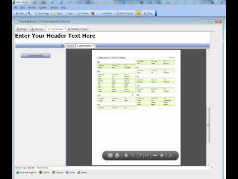 PDF Viewer Options