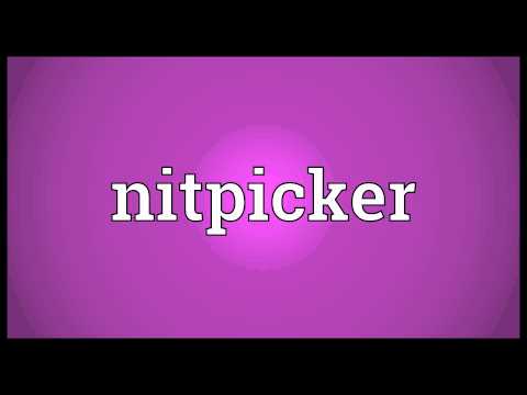 Nitpicker Meaning