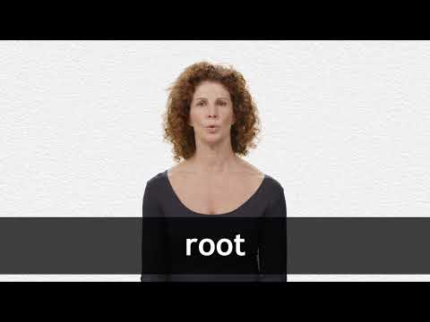 ROOT definition and meaning | Collins English Dictionary