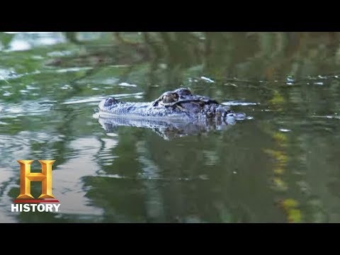 Ax Men: Kraken vs. Gator | History