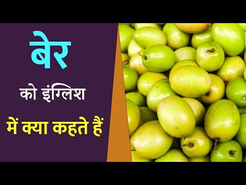 Ber ko English Mein Kya Kahate Hain | Ber Meaning in English | Ber ki English Kya hai