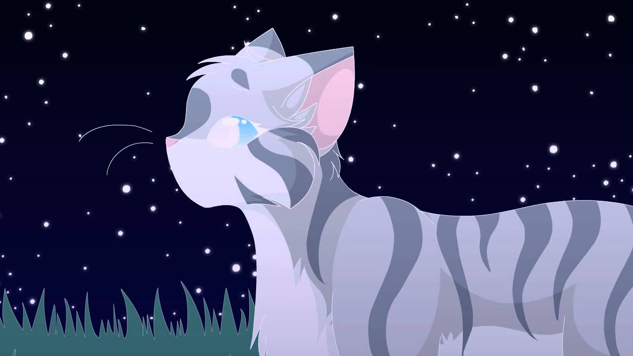 Graystripe and Silverstream   I will be there MAP part 20