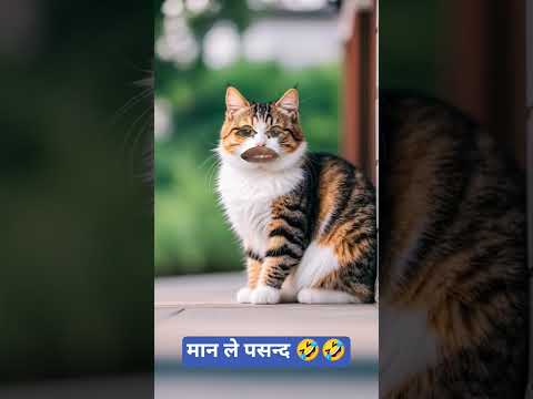 accopet it brother #sho#funny #comedy #thetharpuns #shilpisaroja #aalupyajjoke #gmmaddhesiya