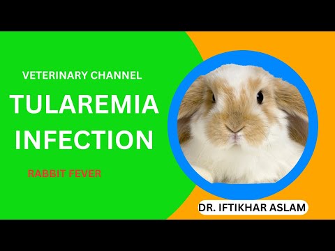 Tularemia Infection In Humans and Farm Animals