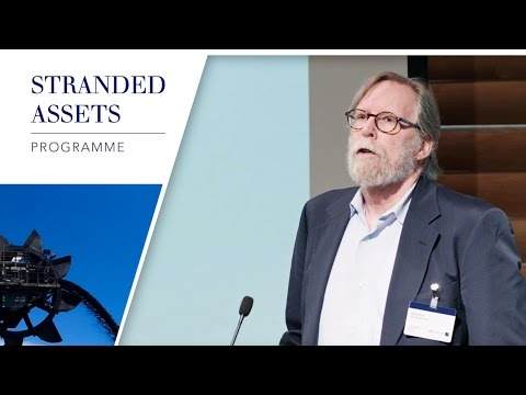 Assessing the sources of Stranded Assets risk: a proposed framework