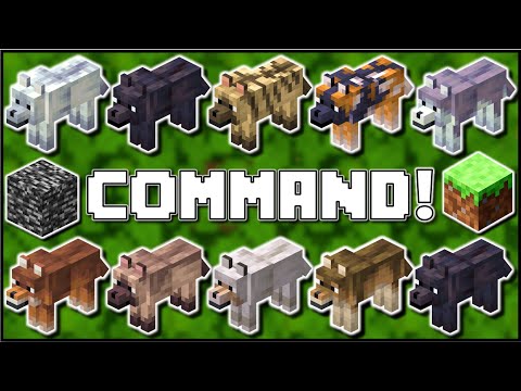 Minecraft - How To Summon All 9 Wolf Variants (Bedrock/Java)