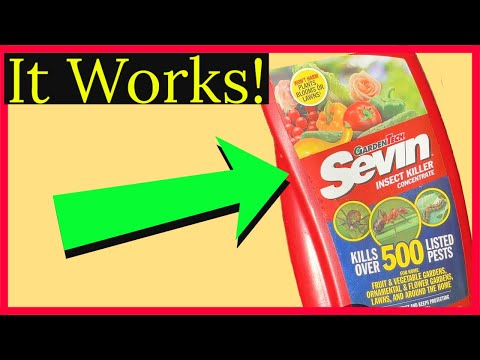 GARDENTECH SEVIN CONCENTRATE BUG KILLER