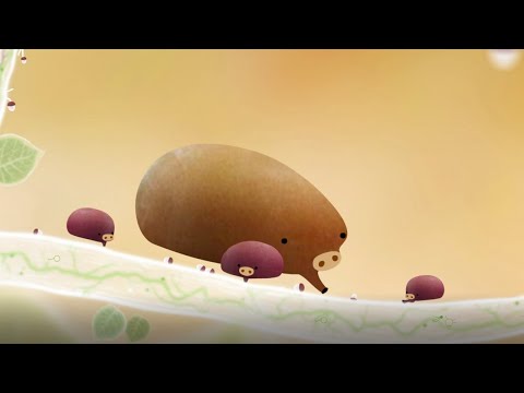 Steam Community :: Botanicula