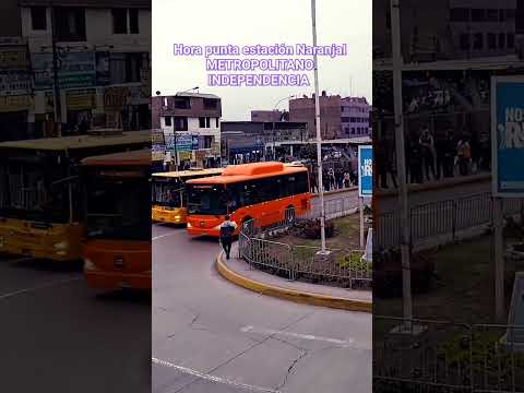 HORA PUNTA Estación NARANJAL del METROPOLITANO en INDEPENDENCIA 🚌