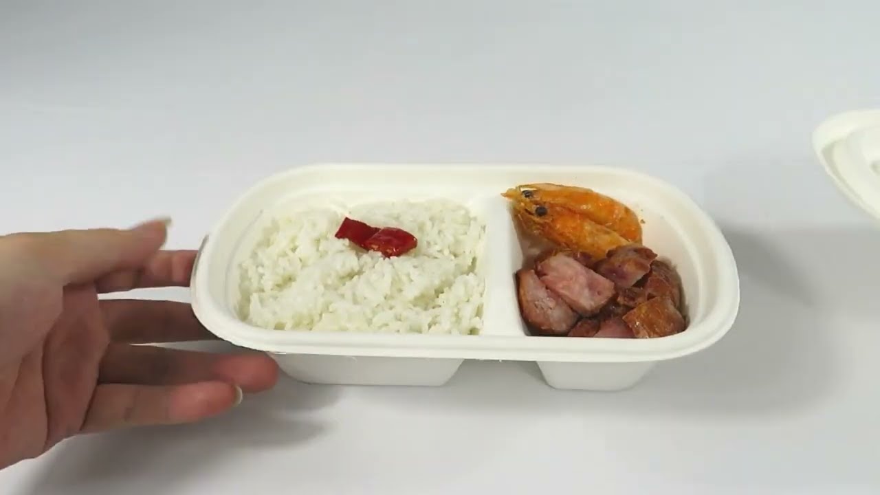 Eco Friendly Biodegradable Sugarcane Bagasse Disposable Takeaway Take out to go  Food Box Lunch Box