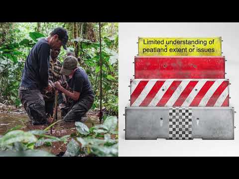 Global progress to tackle the climate crisis through peatland action