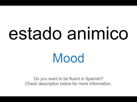 How to say "Mood" in Spanish | estado animico