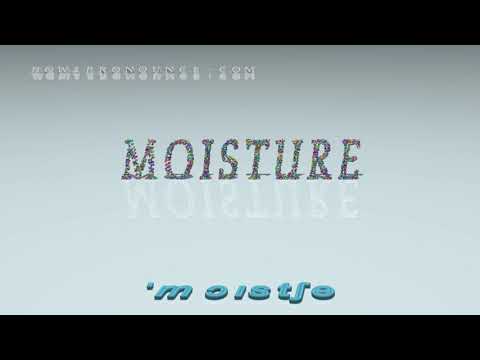 moisture - pronunciation + Examples in sentences and phrases