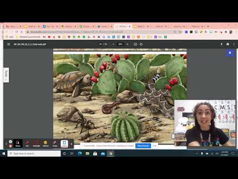 What Does Prickly Mean Definition for Kids
