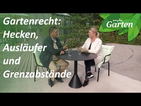 Antworten auf Rechtsfragen im Garten: Hecken, Ausläufer, Grenzabstände | MDR Garten