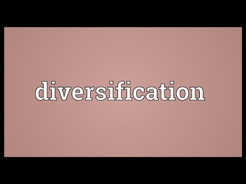 Diversification Meaning