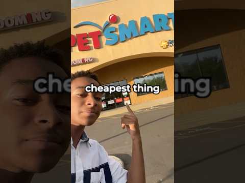 Whats the Cheapest Item at the Pet Store?