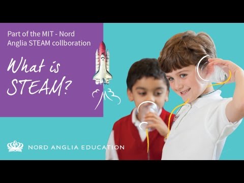 What is STEAM?