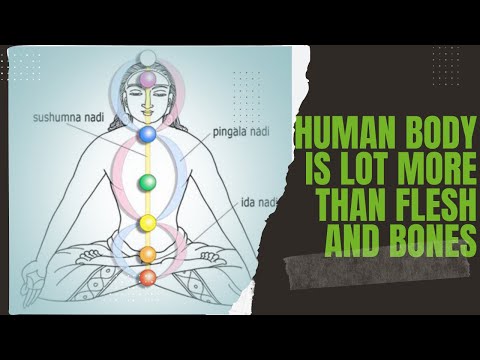 Incredible unknown facts about ida and pingala nadis