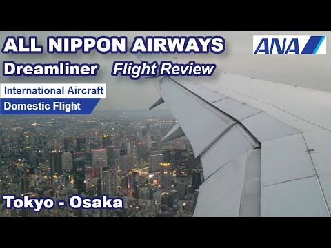 ANA 787 Flight Review | International Aircraft | Domestic Flight + Hkets at convenience stores,