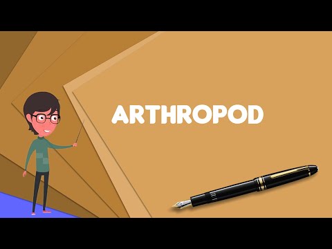 What is Arthropod? Explain Arthropod, Define Arthropod, Meaning of Arthropod