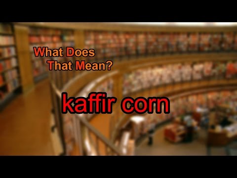 What does kaffir corn mean?