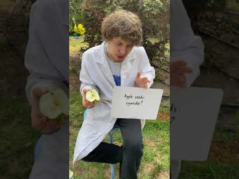 Do Apple Seeds Really Contain Cyanide? #shorts