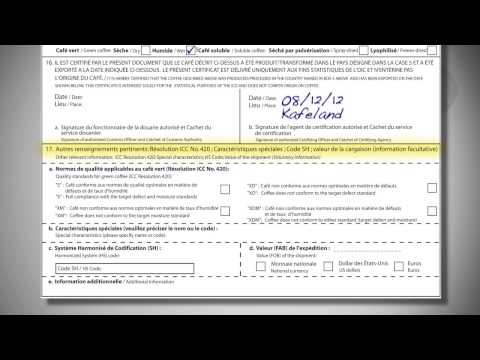 Guide: Certificats d’origine (Français) - ICC 102-9