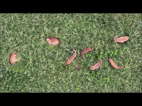 LOOKING FOR A BUCK WITH MATRICE 4 THERMAL
