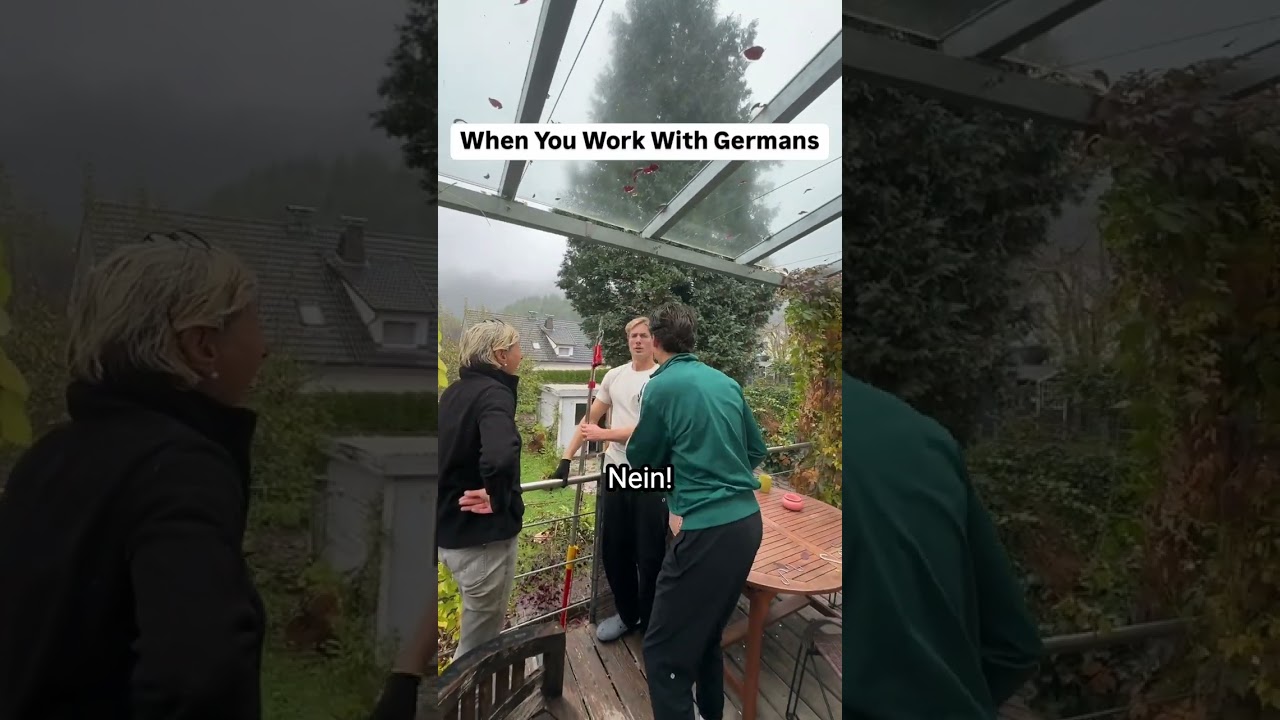 When You Work With Germans