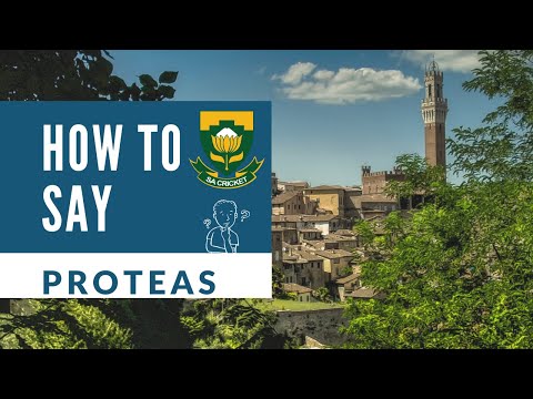 How to pronounce proteas | Proteas | Pronouncetory