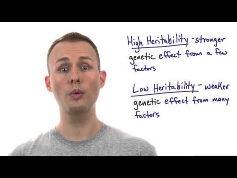 Limitations of Heritability - Tales from the Genome