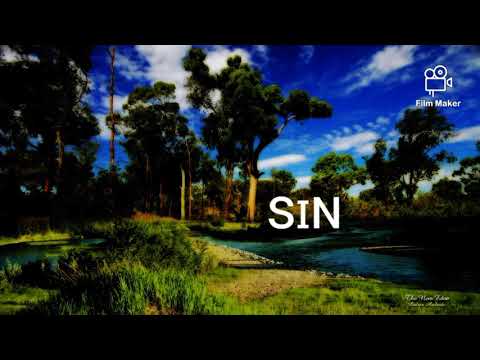 Sin meaning | in hindi | My dictionary || Daily learning