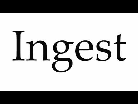 How to Pronounce Ingest