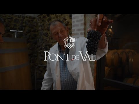Winemaking begins at Pont de Val!