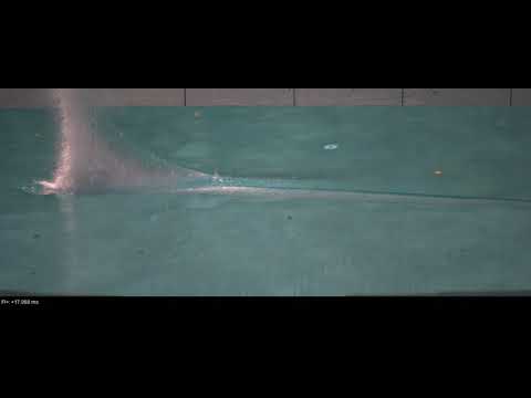 1b9 Swimming 225gr Bullet