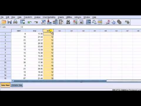 what is spss