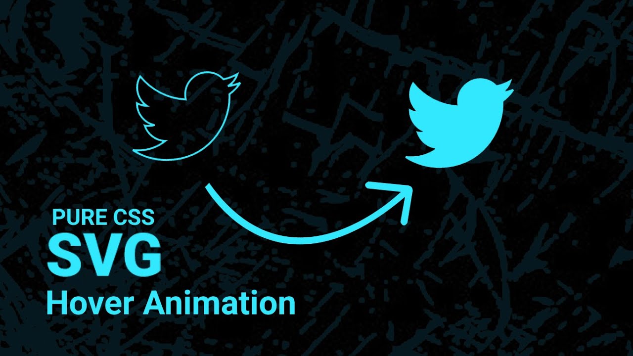 Html & CSS SVG Hover Animation | Encrypted Code