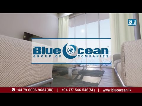 Blue Ocean Group of Companies - Leading the Way to the Future