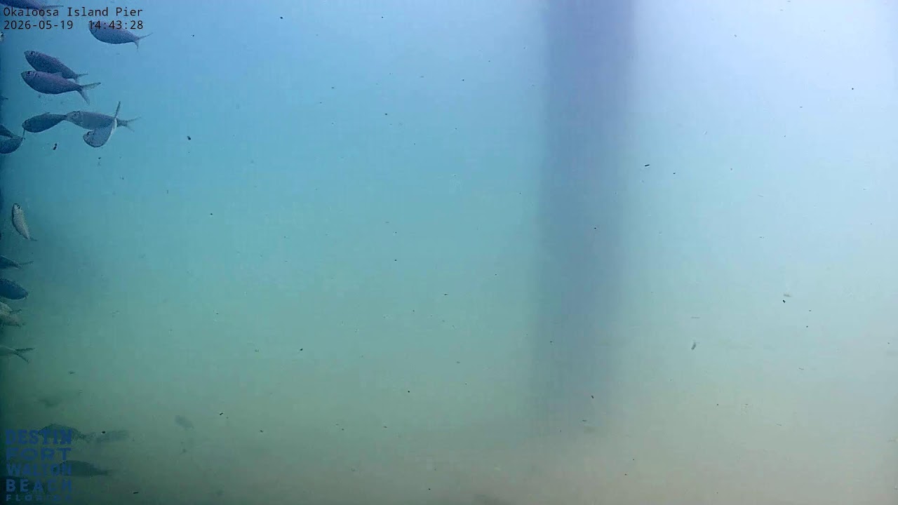 Okaloosa Island Pier Camera