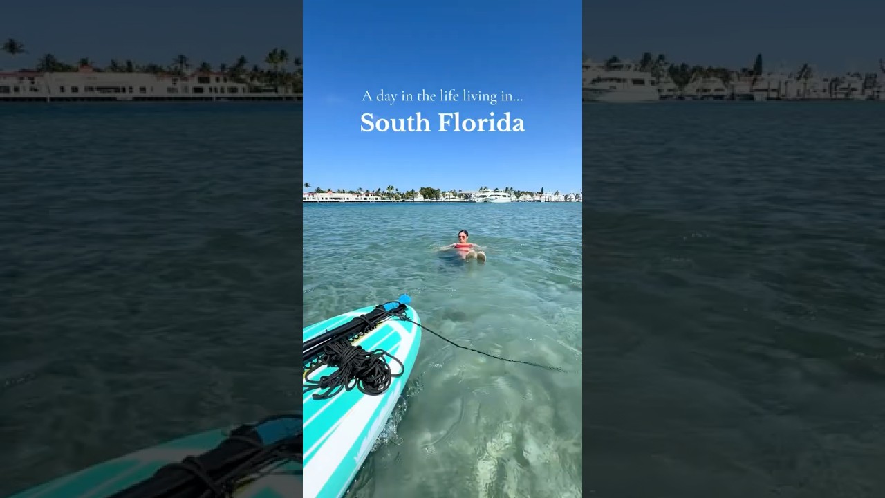 ocean therapy is the best kind of therapy ☺️ #sandbar #shelling #sealife