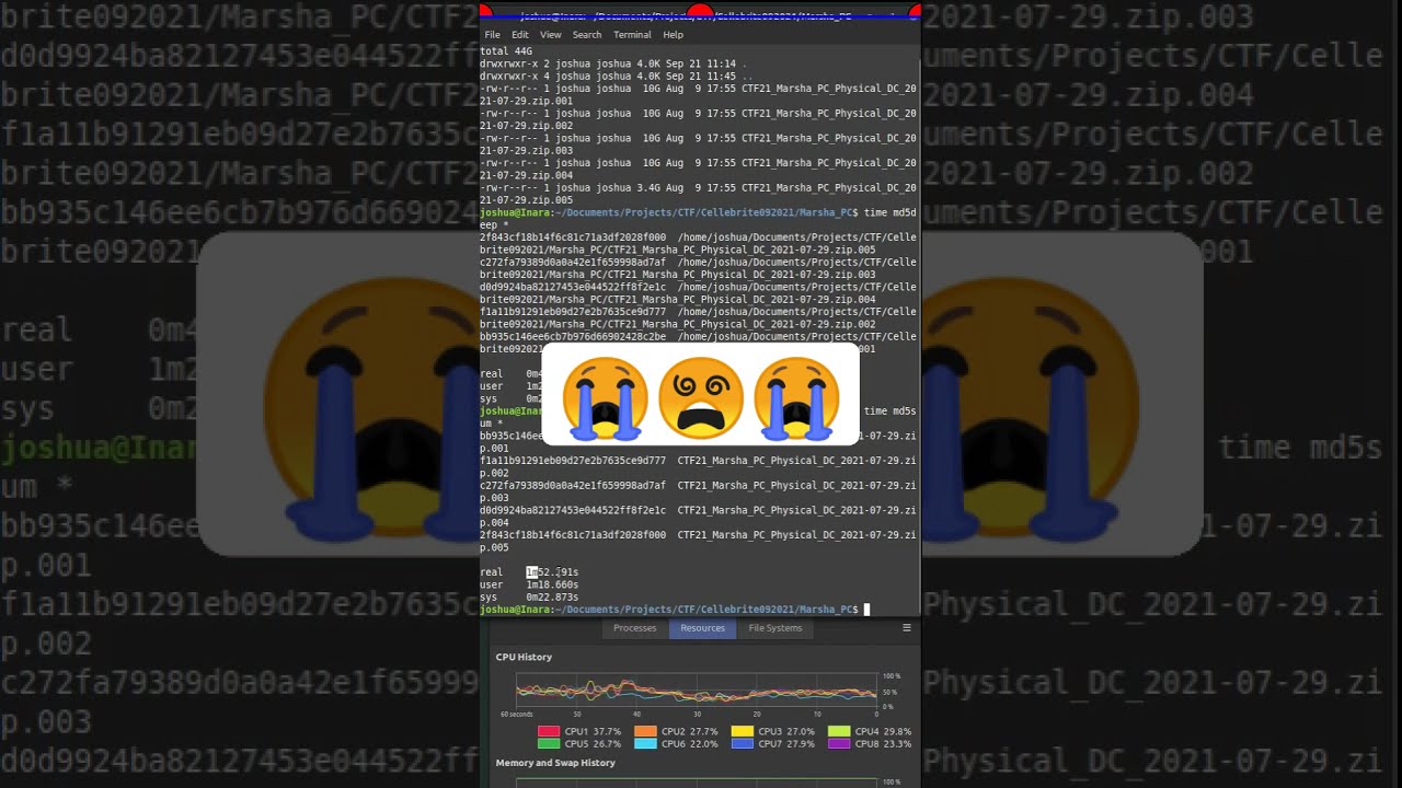 Are you multi-threaded? #dfir #shorts