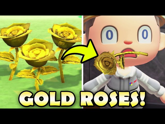 How to furnish golden roses in Animal Crossing: New Horizons